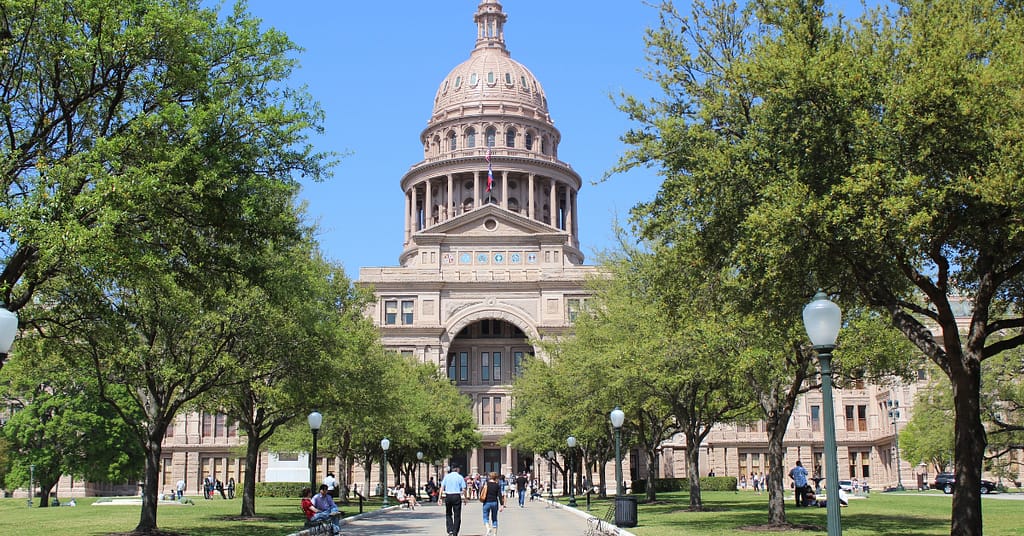 A Texan's guide to your state government - Texas 2036