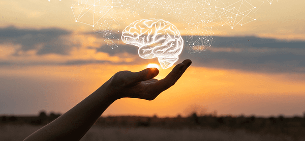 Leveraging Data to Shape Our Future - Texas 2036