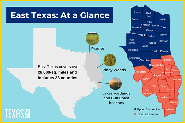 East Texas: The region at a glance - Texas 2036