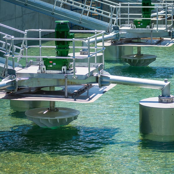 Natural Resources - Texas 2036