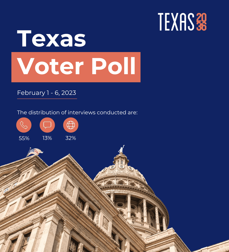 Texas Voter Poll - Texas 2036