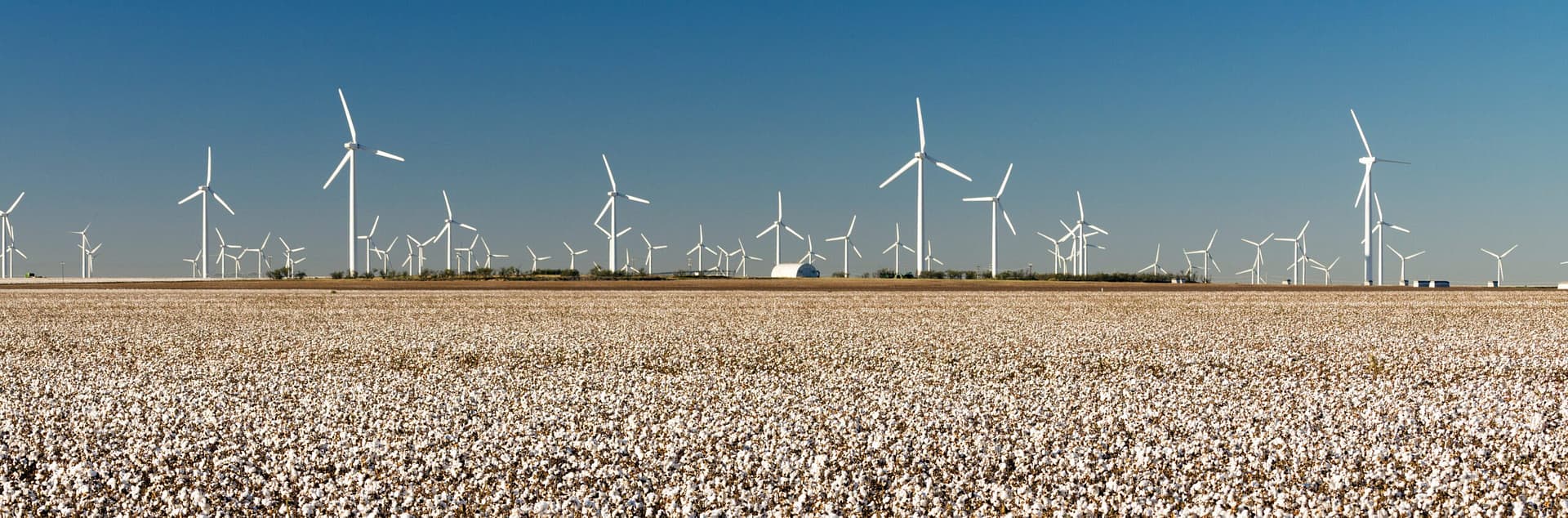 Lone Star State: Get to know the Texas Panhandle - Texas 2036